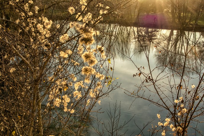Paysages et faune – Lac de Chalette-sur-Loing | Photomatisme ...