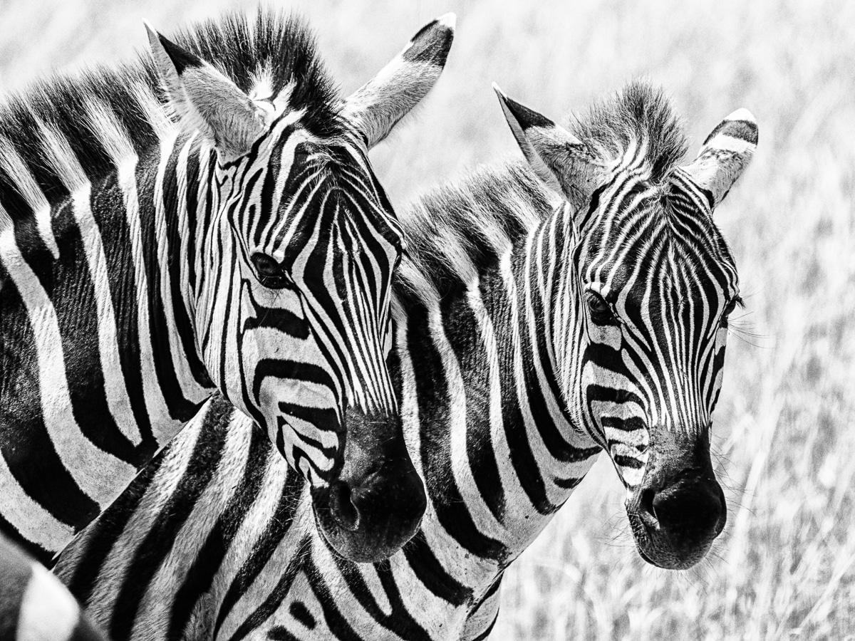 exposition_regards_yann_pages_m2-3 | Photomatisme